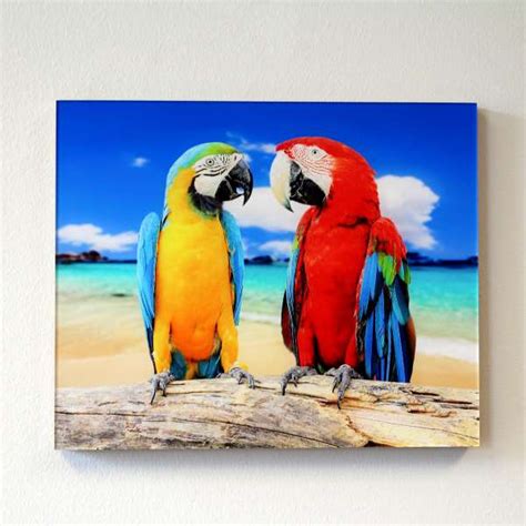 Trulife Acrylic Face Mounting Anti Glare Plexiglass Prints