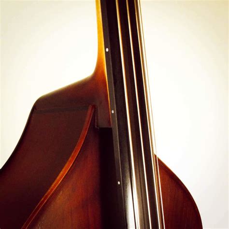 Five String Upgrade For Your Upton Bass 5 String Double Bass