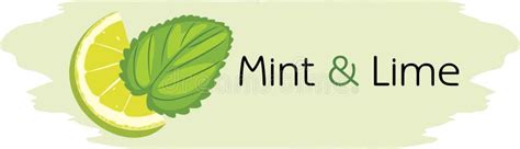 Mint And Lime Drawing For Label Design Stock Vector Illustration Of