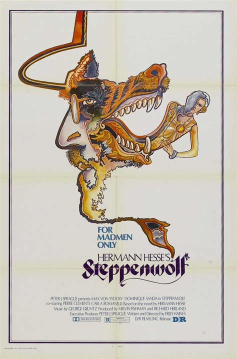 Steppenwolf Von Hermann Hesse Rezension Der Steppenwolf Von Hermann