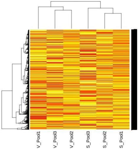 Exact Tests And Plots With Edger Basic Differential Expression Analysis