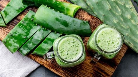 Cactus Powder Benefits At Anthony Griggs Blog
