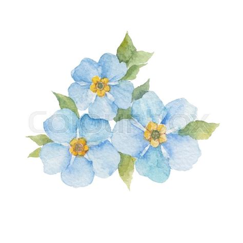 Forget Me Not Watercolor At Explore Collection Of