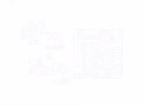 Giko Solana Giko Solana Giko Cat Discover Share GIFs