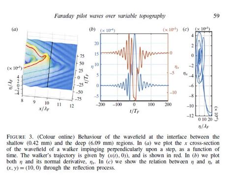 Numerical Simulation