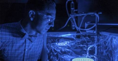 위클리 스마트 이산화탄소로 화학원료를잎의 선물 인공광합성