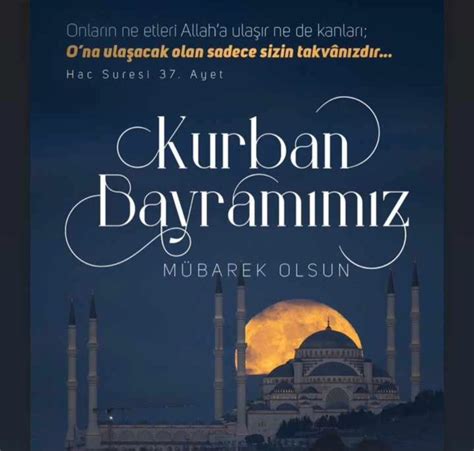 Zehra Gökçe Posted On Linkedin