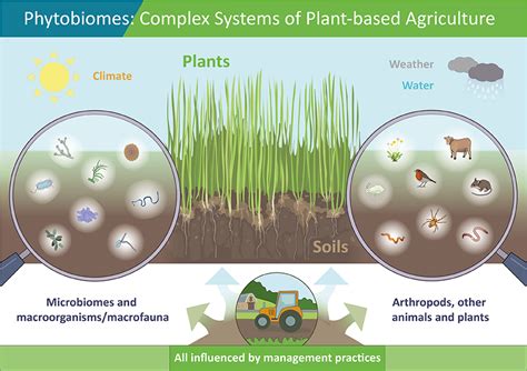 R1 2021 10 Flozbox Science