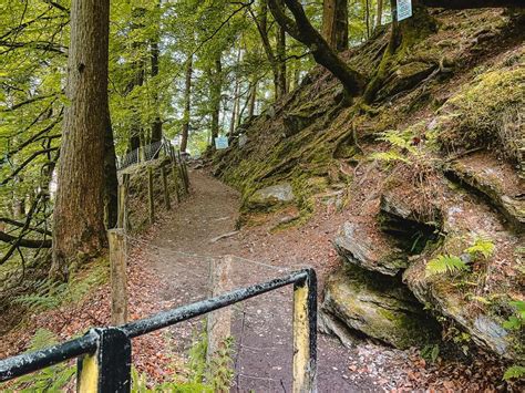Pistyll Rhaeadr How To Visit The Tallest Waterfall In Wales 2025