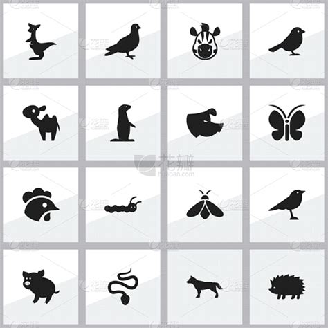 自然符号华丽的野生动物狗哺乳纲动物鸟类蛾