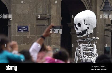 Skeleton Puppet Stock Videos And Footage Hd And 4k Video Clips Alamy