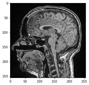 Affine Transforms Using Scikit Image Bio Image Analysis Notebooks