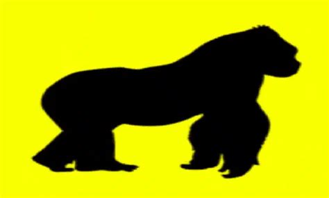 Rusowsky Lanza Daisy Y Aclara Rumores “no No Está Inspirado En 2001