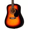 Rogue® Guitars Acoustic Guitars Bass Guitars Electric Guitars
