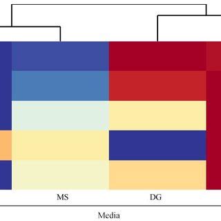 Hierarchical Clustering Heatmap Based Comparison Of The Developmental