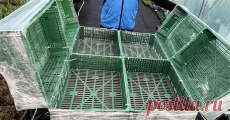 Самый удобный и простой мобильный парник, все сорта как по полочкам Во ...