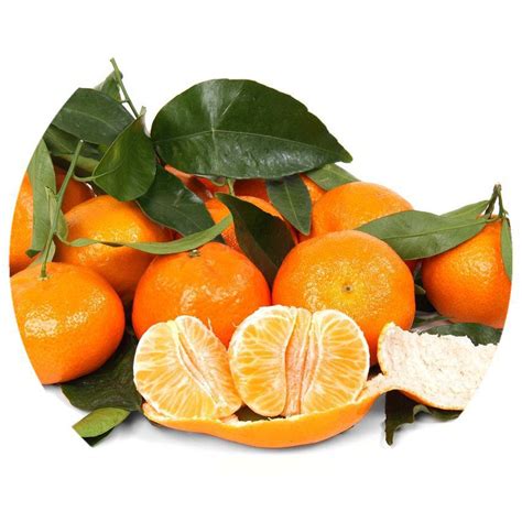 Clementines Each Finestfruits Co Uk