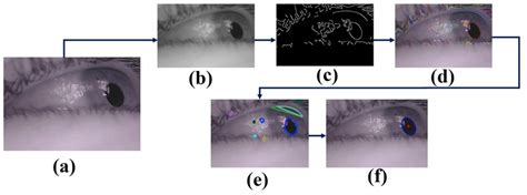 Edge Based Ellipse Fitting A The Original Color Image Captured B Download Scientific