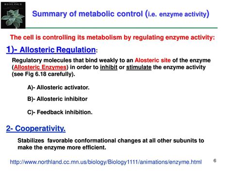 Section C The Control Of Metabolism Ppt Download