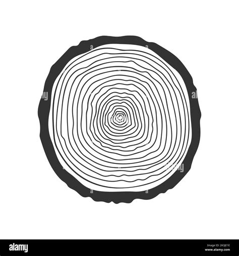 Tree Rings Icon Hand Drawn Trunk Cross Section Dendrochronology