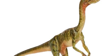 Prehistoric Flora And Fauna Compy The Smallest Dinosaur