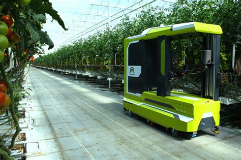 Israeli Startup Develops First Ai Robot For Picking Tomatoes The Times Of Israel