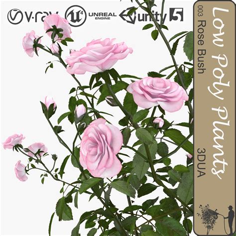 3d Model Rose Bush Universal Plant Vr Ar Low Poly Cgtrader