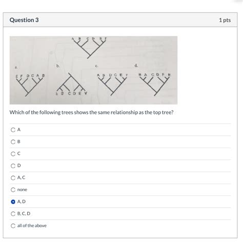 Solved Question 3 1 Pts CDBF EF DCAB A B D GEF B A C D F E 3 Chegg Com