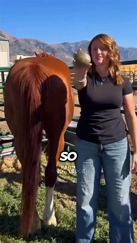 Chinook Helicopter Delivering A Dominator 108 Sl Maxi 🚁farming Trendingshorts Fyp