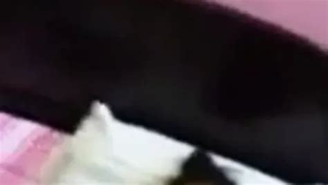 Free Touching Boobs Porn Videos Xhamster