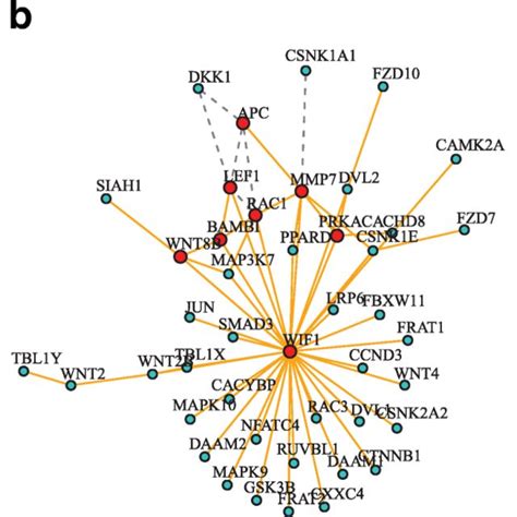 Illustration Of Latent Differential Network A Network In Group 1 B Download Scientific
