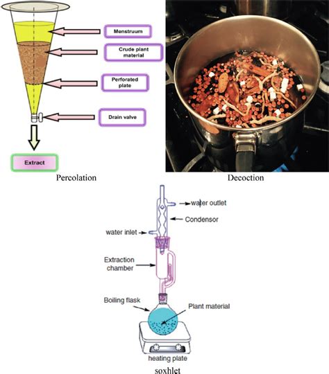 Maceration Vs Percolation At Ramona Hernandez Blog