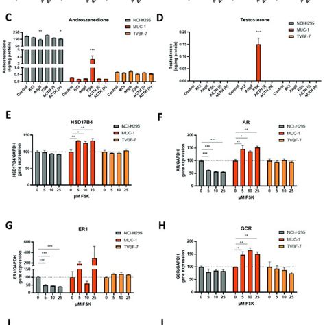 Androgenic Pathway Activation Hormonal Production Of Dhea A Dheas