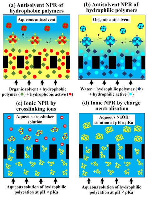 Polymer Hydrophobic Definition At Cynthia Forsman Blog