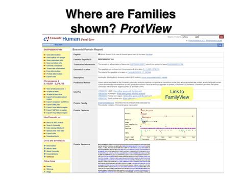 PPT Comparative Genomics PowerPoint Presentation Free Download ID 3263960