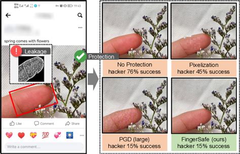 Figure 1 From Hierarchical Perceptual Noise Injection For Social Media Fingerprint Privacy