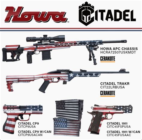Patriotic Red White And Blue Guns From Howa And Citadel « Daily Bulletin