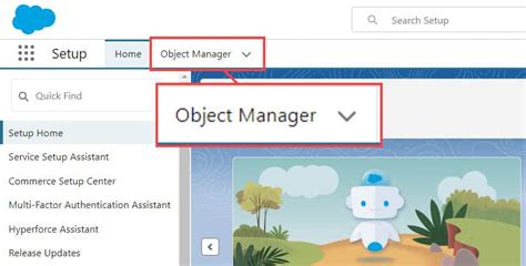 Salesforce Datevalue Function