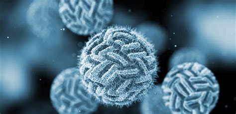 شبح الوباء الصامت يخيم على الخرطوم والصحة تحذر صحة و جمال