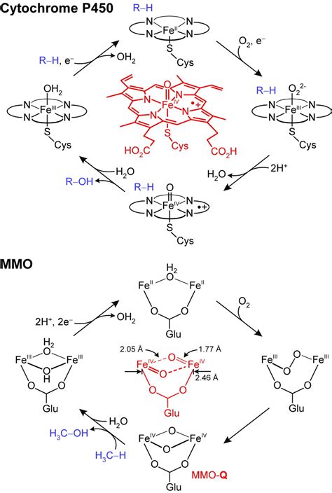 Synthetic Iron Oxo “diamond Core” Mimics Structure Of Key Intermediate In Methane Monooxygenase