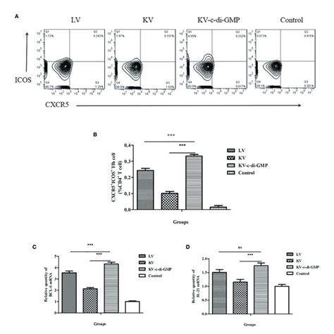 A The Schematic Diagram Of The Three Layer Microfluidic Chip For