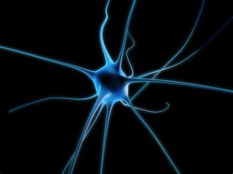 linear predictors — the perceptron from theory to algorithms by