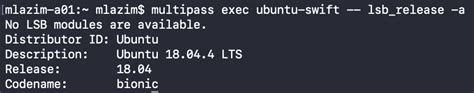 Getting Started With Swift On Ubuntu Fritz Ai
