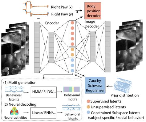 github saxenalab neuro behavioral feature extraction cs vae