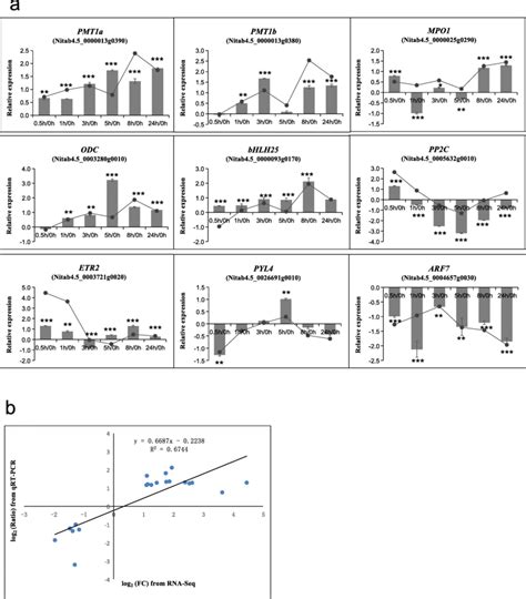 Validation Of Rna Seq Data By Qrt Pcr A Expression Levels Of 9 Download Scientific Diagram