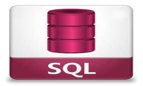 Write Sql Queries Functions Procedures Max 20 Lines By Ryasatali Fiverr