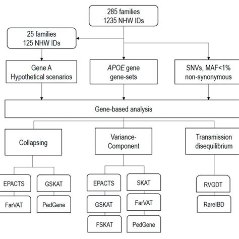 Pipeline Of Our Study Design Wes Whole Exome Sequencing Wgs Whole