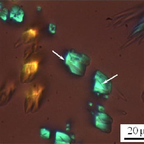 Colour Online Detail From A Thin Section Of Devitrified Float Glass Download Scientific