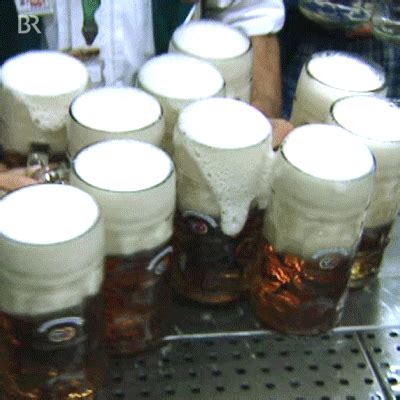Drunk Beer  By Bayerischer Rundfunk Find And Share On Giphy