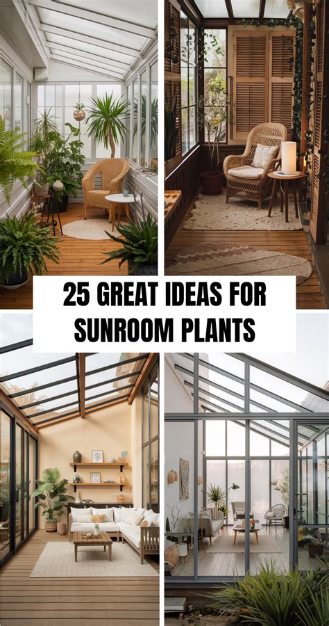 25 Great Ideas For Sunroom Plants In 2025 Sunroom With Plants